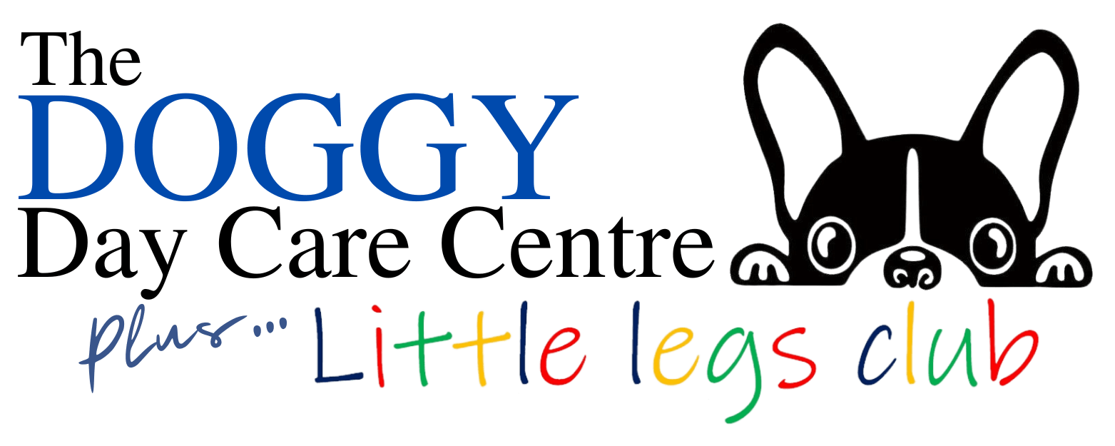 Enrolment Period | The Doggy Day Care Centre